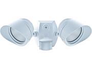 FBA_SMSBULLET2X12NW RAB Lighting - Datasheet PDF & Technical Specs