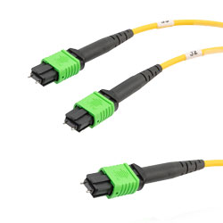 MPM24212SMR-CA-3 ShowMeCables - Distributors, Price Comparison, and ...