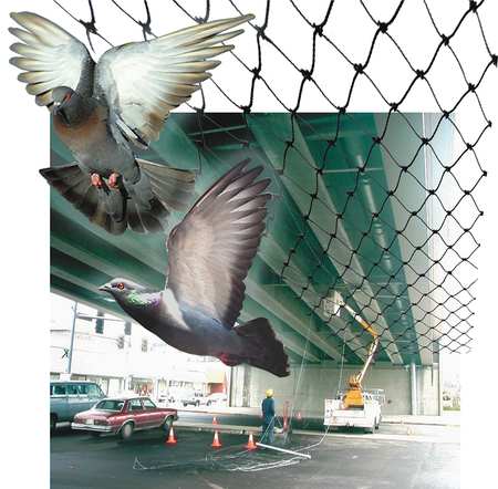 NET-STR-100 Bird-X - Distributors and Price Comparison | Octopart ...